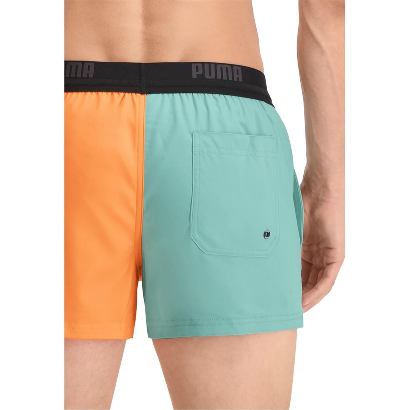 Puma Col Blck Shorts in Multi