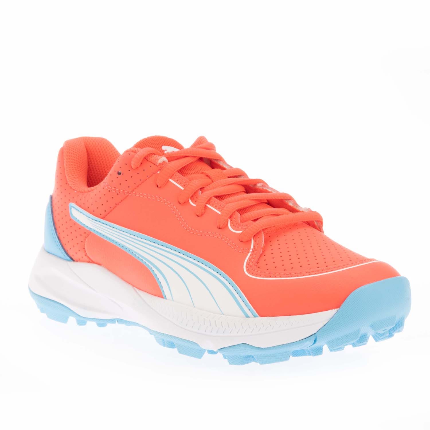 Pink Puma 24 FH Rubber Sole Cricket Shoes Get The Label