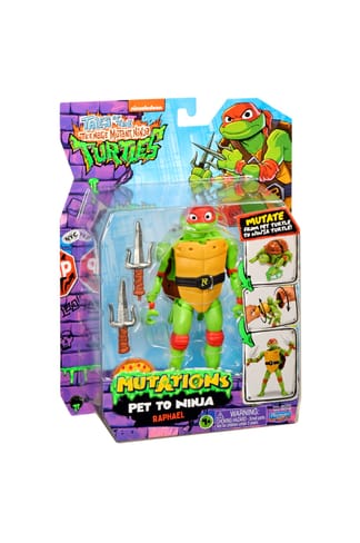 Multi Teenage Mutant Ninja Turtles Of Teenage Mutant Ninja Turtles: Pet ...