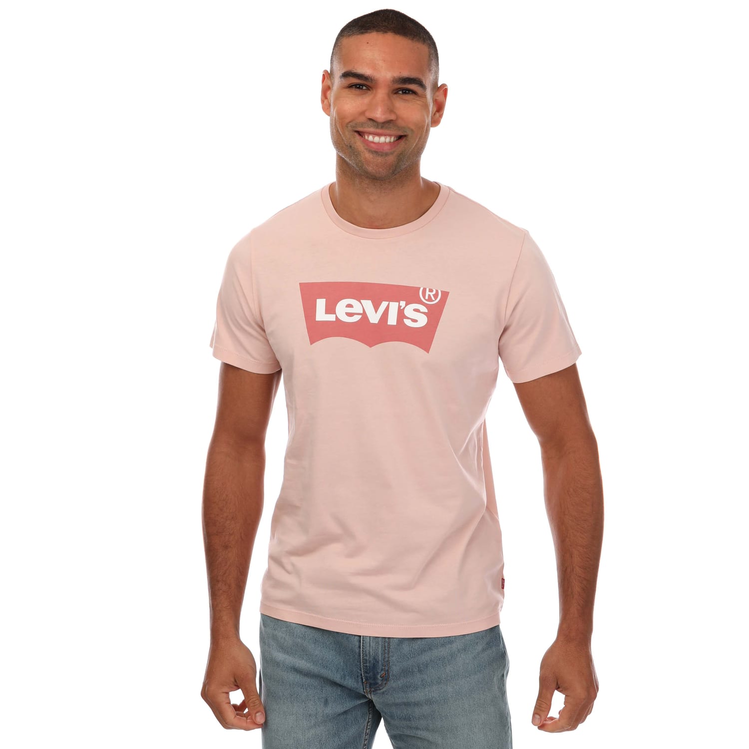 Mint Levis Mens Graphic Batwing Logo T-Shirt - Get The Label